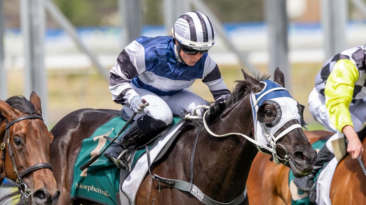 Promising galloper Tippa chasing third straight victory in at Morphettville
