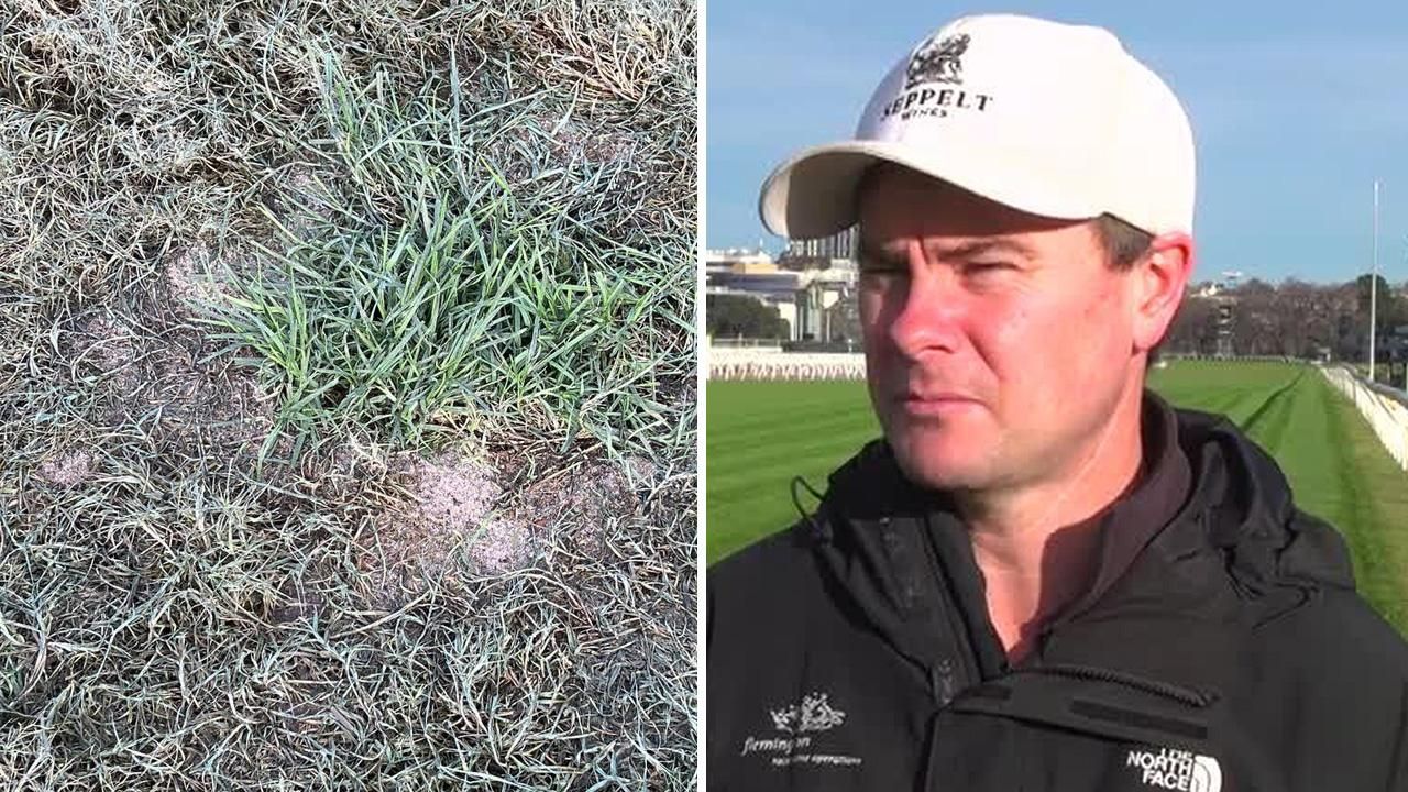 Flemington's Liam O'Keeffe to help fix Gold Coast track poisoning