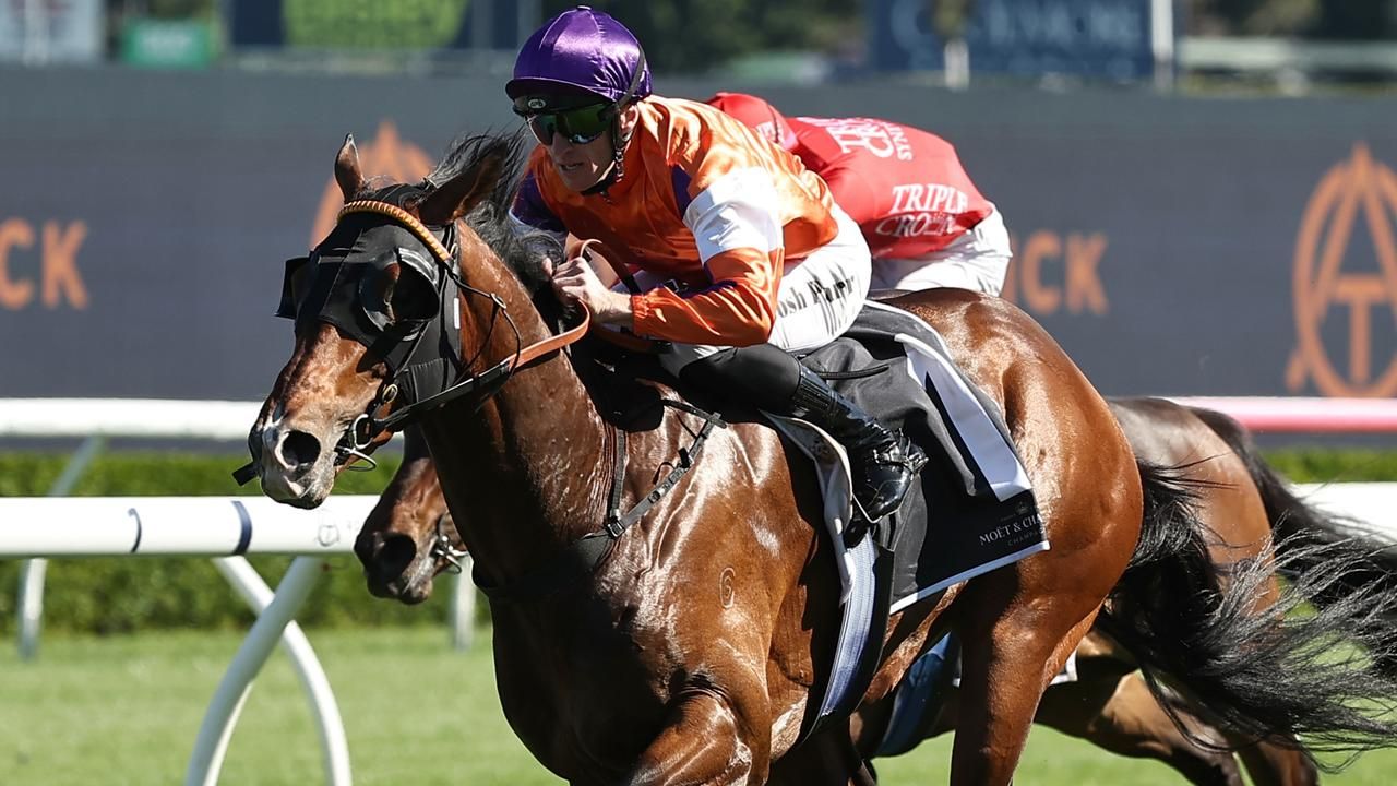 2025 Rosehill Guineas: Broadsiding rival ruled out of autumn