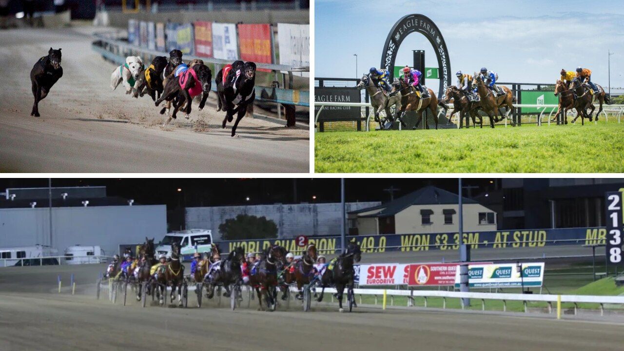 Tropical Cyclone Alfred threat throws Queensland racing calendar into chaos