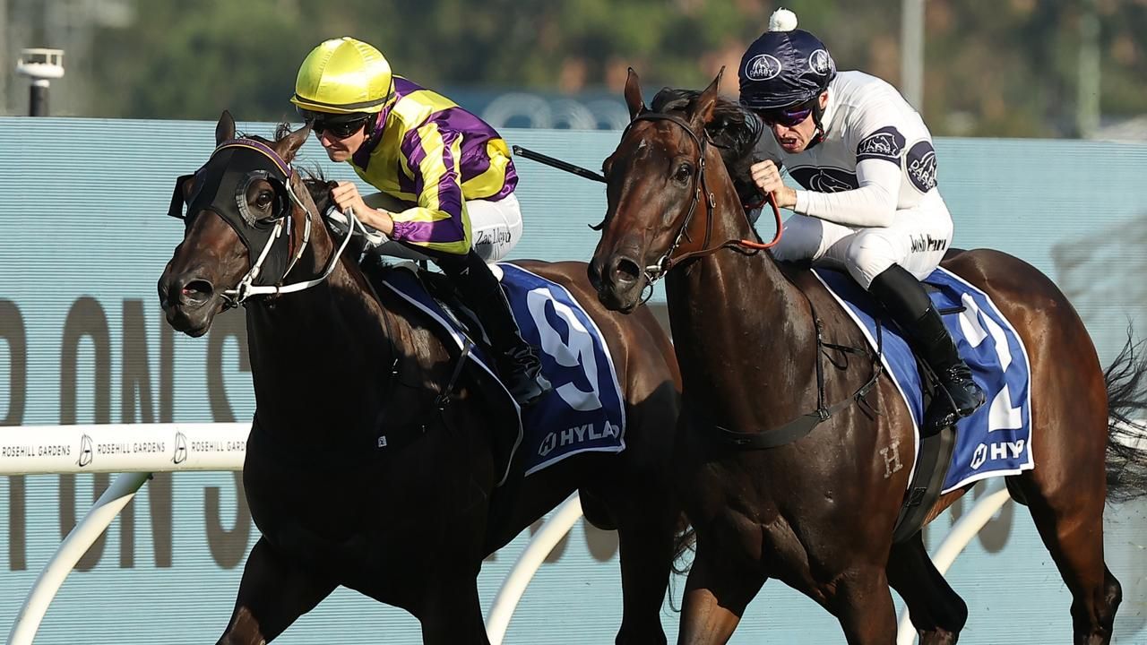 ‘This is every week': Zac Lloyd fires up over latest careless riding ...