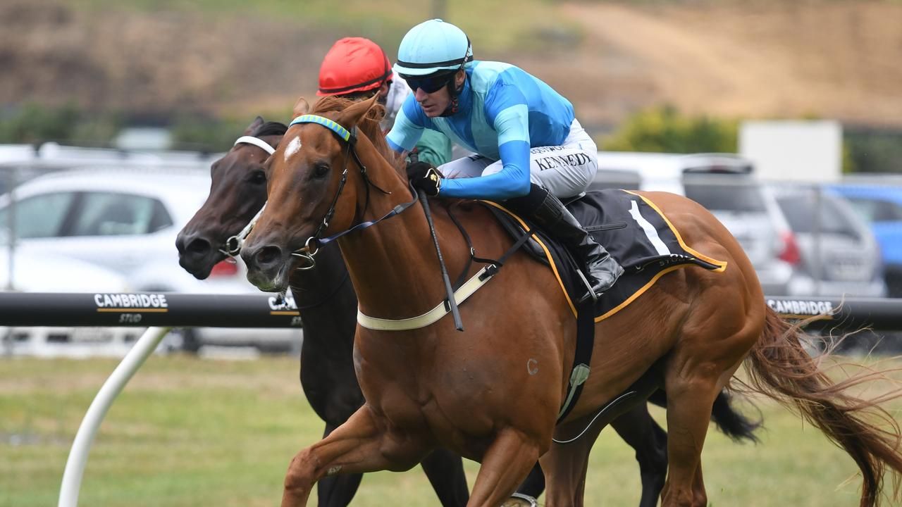 New Zealand sprint star Crocetti locked in for The Quokka