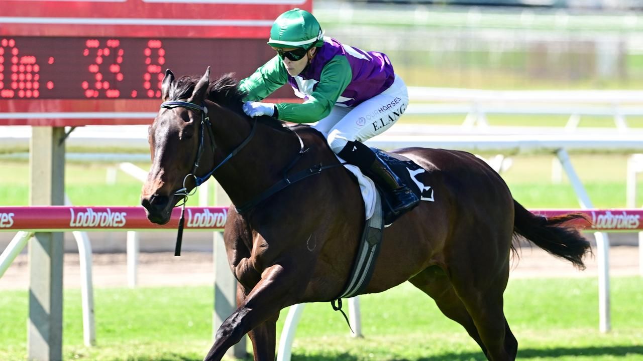 Trainer Greg Wright has rethink on name change after The Right Way wins ...
