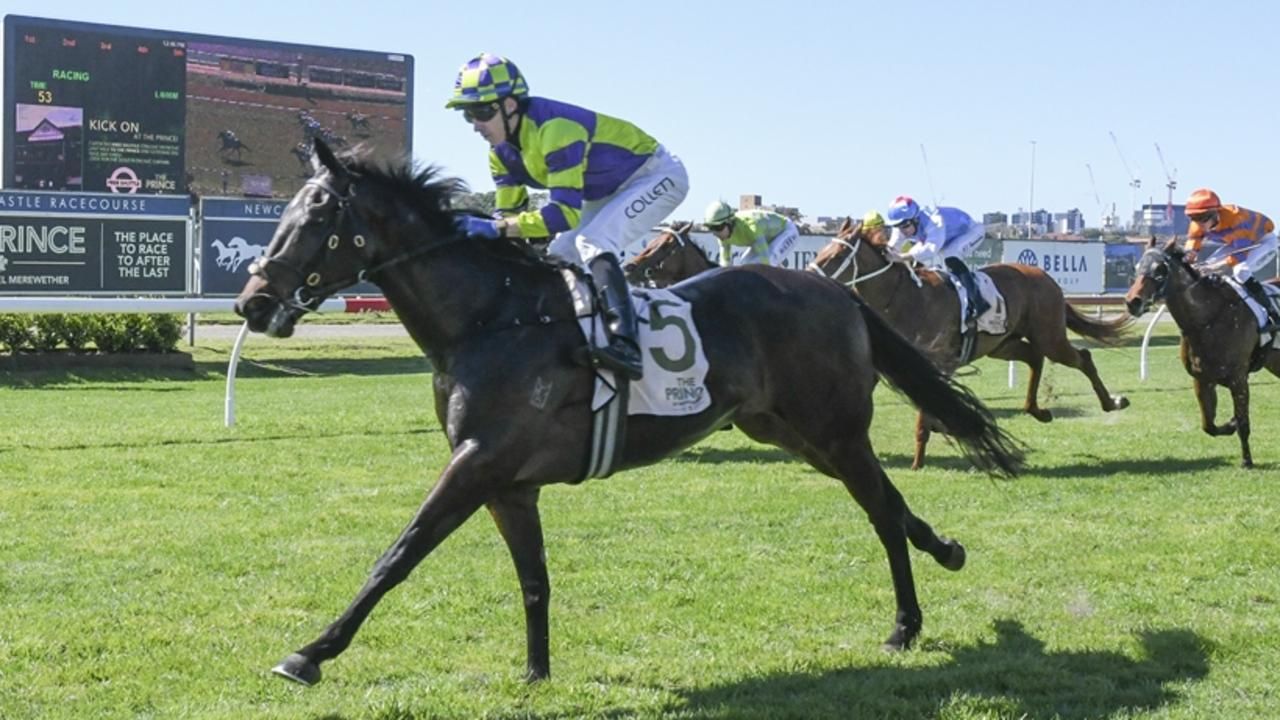 Hawkesbury, Lismore previews: I Am A Winner eyes back-to-back wins ...
