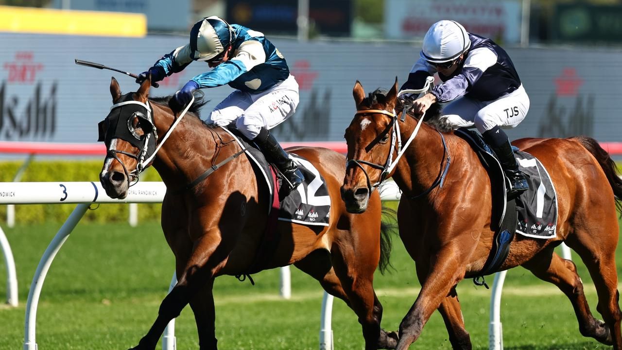 Waller relieved as Birdman breaks duck to firm for Metrop - Racenet