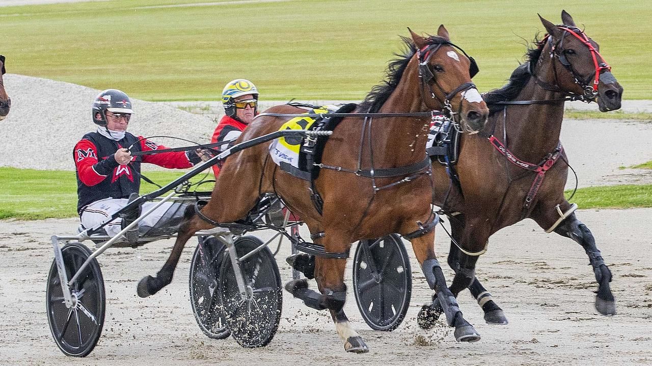 Harness racing: Kyle Marshall thriving with boutique stable after ...