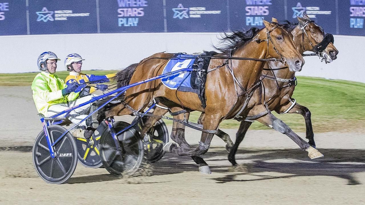 Harness racing: Kingman smashes track record to beat Leap To Fame again ...