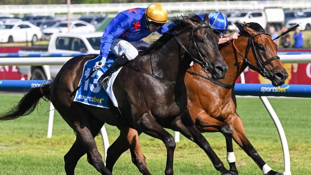 ‘Devastating': Oakleigh Plate winner Queman dies of colic