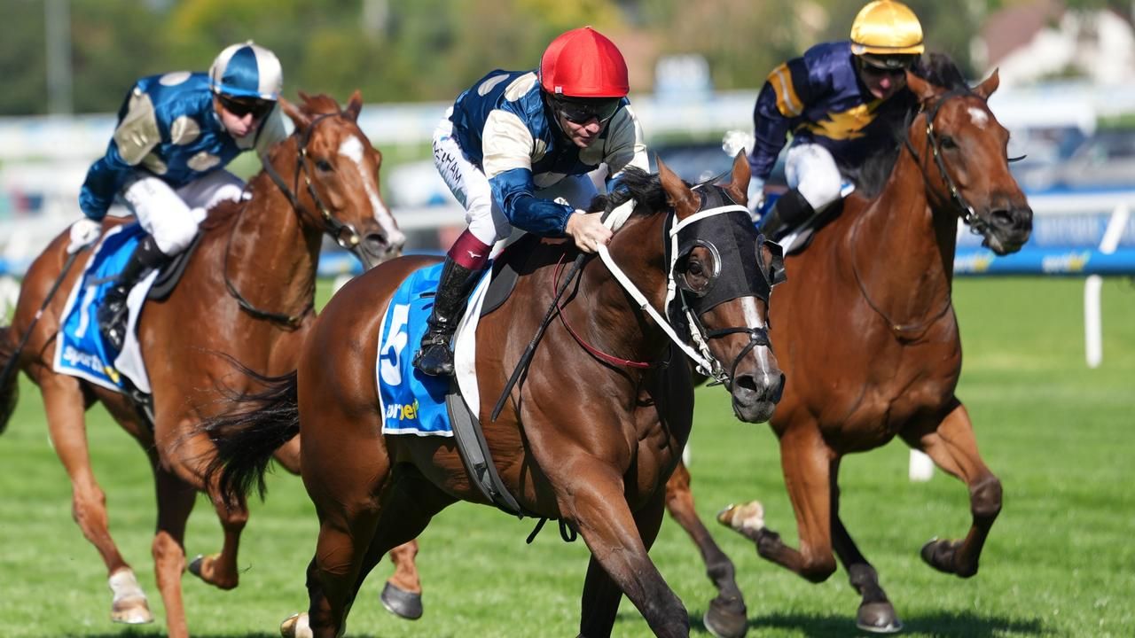‘Revelation': Birdman hits new heights as Australian Cup beckons - Racenet