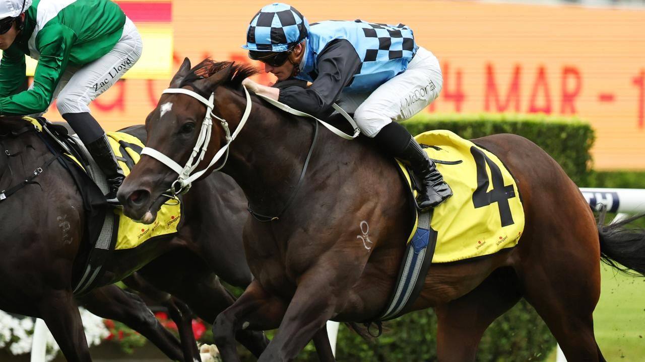 2026 Royal Ascot Carnival: Generosity joins Joliestar in UK raid
