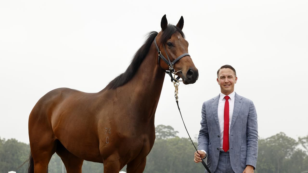 Probability Theory has lofty targets following Kensington on Monday