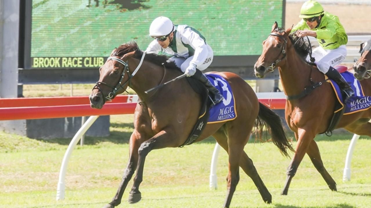 Wyong preview: Smith targets double with green machines - Racenet
