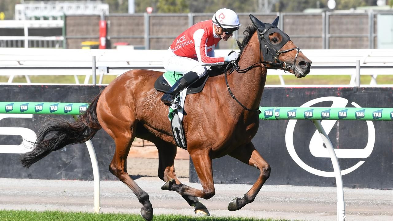 Lindsay Park eyes Melbourne Cup qualifier for The Western Front