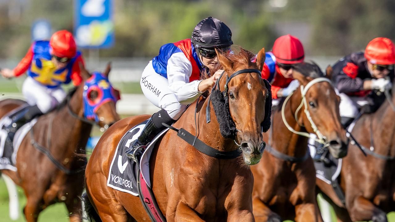 SA stayer Sir Kingsford bids for Cup golden ticket in Ramsden - Racenet