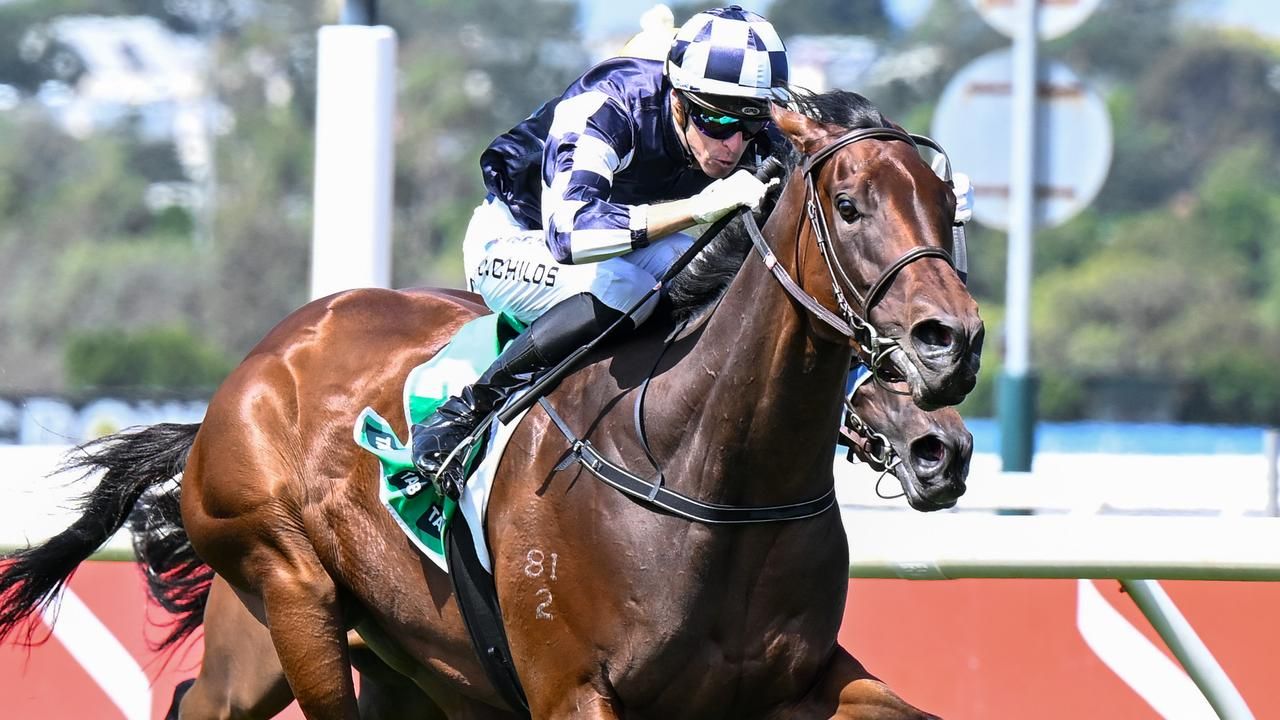 Sass has Spring Group 1 appeal for O'Brien - Racenet