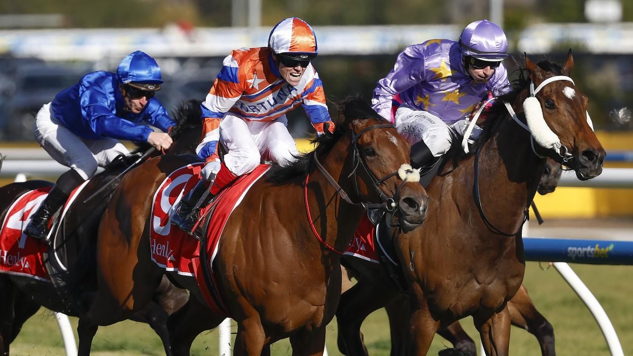 Star mare Bellatrix Star plots comeback after surgery - Racenet