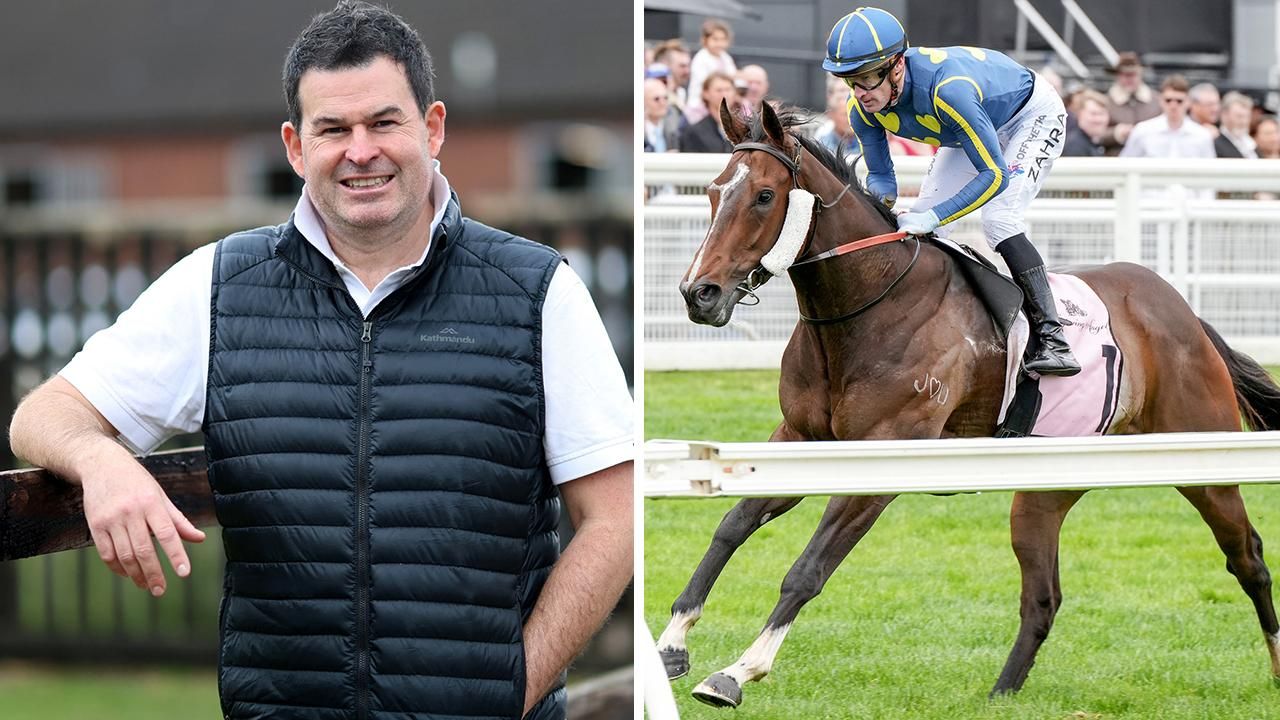 Dwyer swings gear changes for Different Gravy ‘hope job' - Racenet