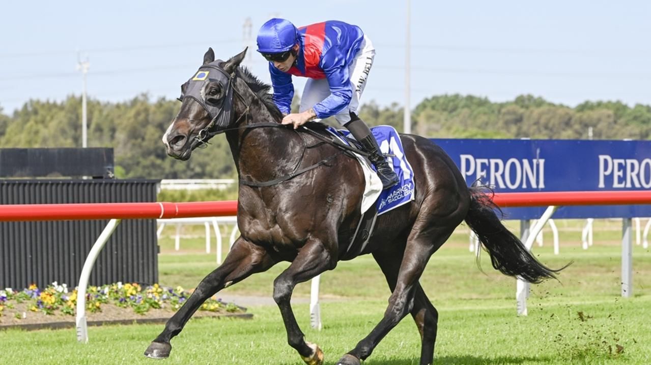 Illawarra Grange preview: Distance reshuffle forces Ryan rethink - Racenet