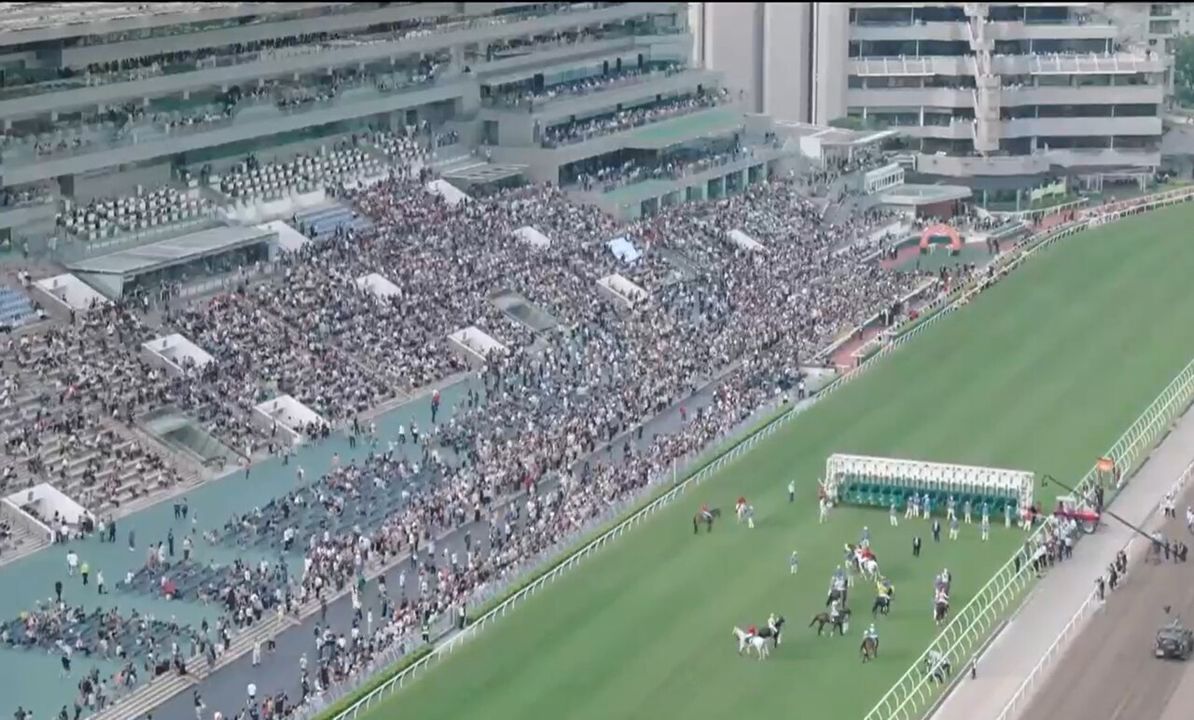 Sha Tin presenter selections - Tips, best bets, longshots