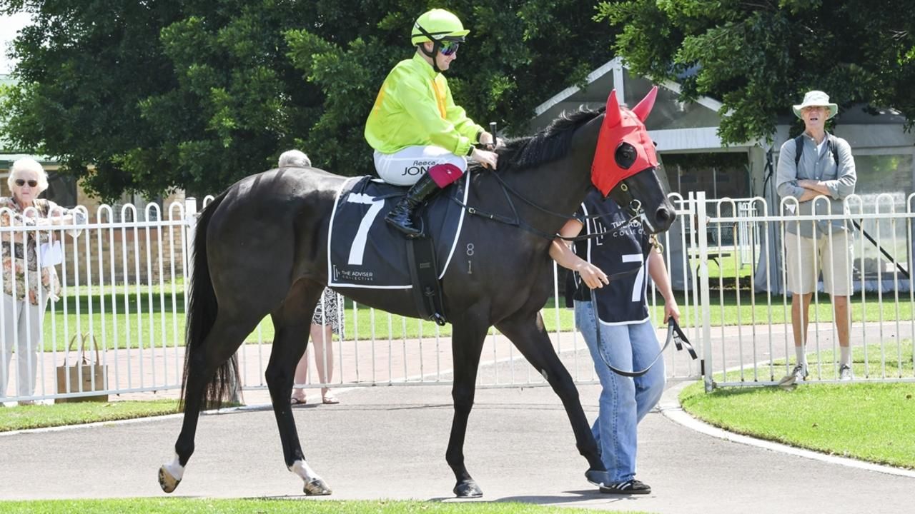 Lane hoping planets align for Mackenzie at Warren - Racenet