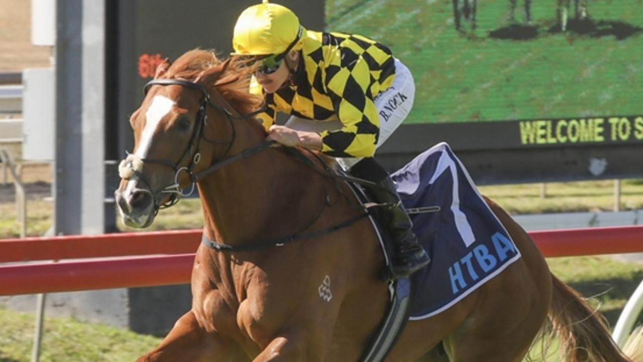 ‘Would just be gutting': Archibald filly sweats on Oaks start - Racenet
