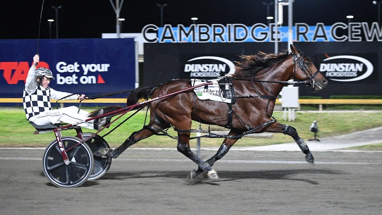 Leap To Fame to return at Albion Park on Saturday night