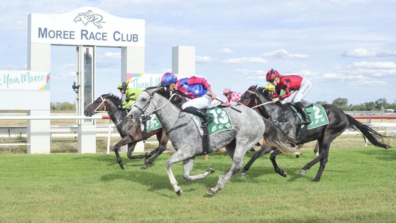 Sweeneys eye milestone at Moree - Racenet