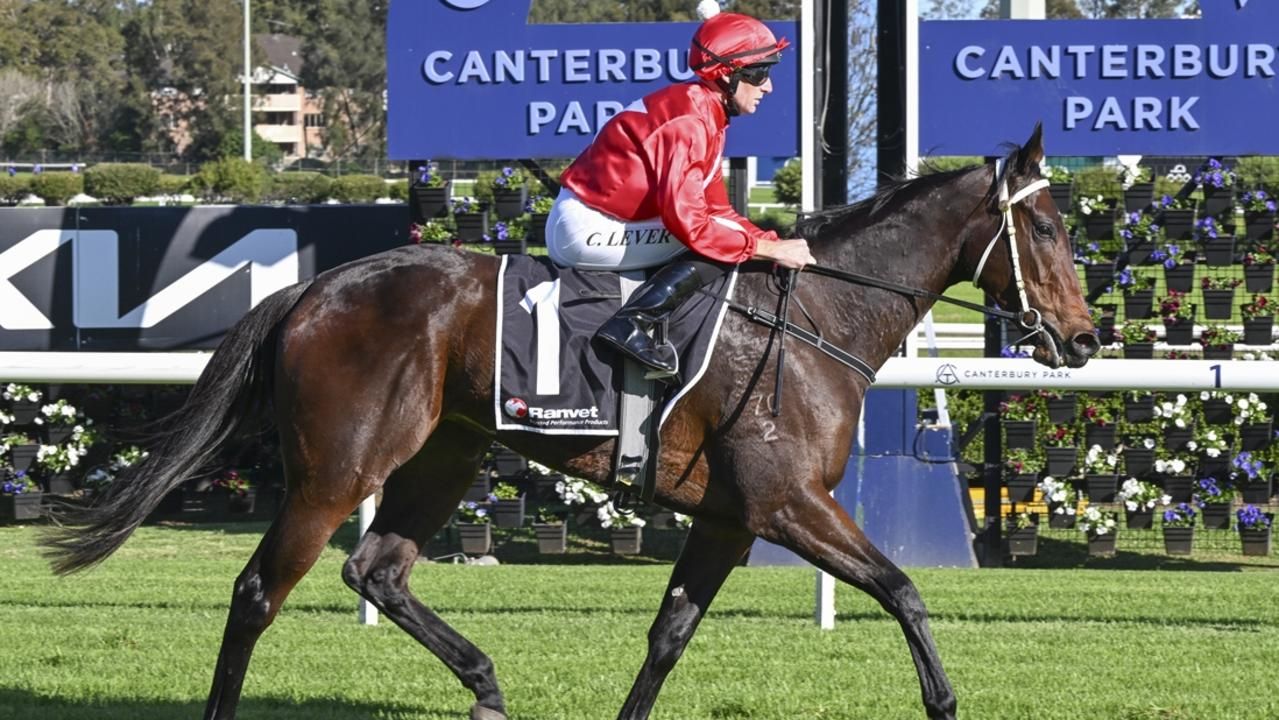 Five to follow from this week's NSW barrier trials - Racenet
