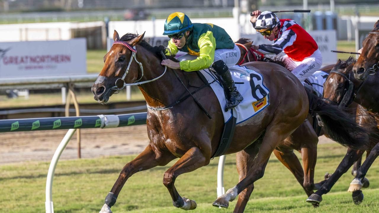 ‘Totally disregard his last run': Yellow Brick can repeat Stradbroke ...