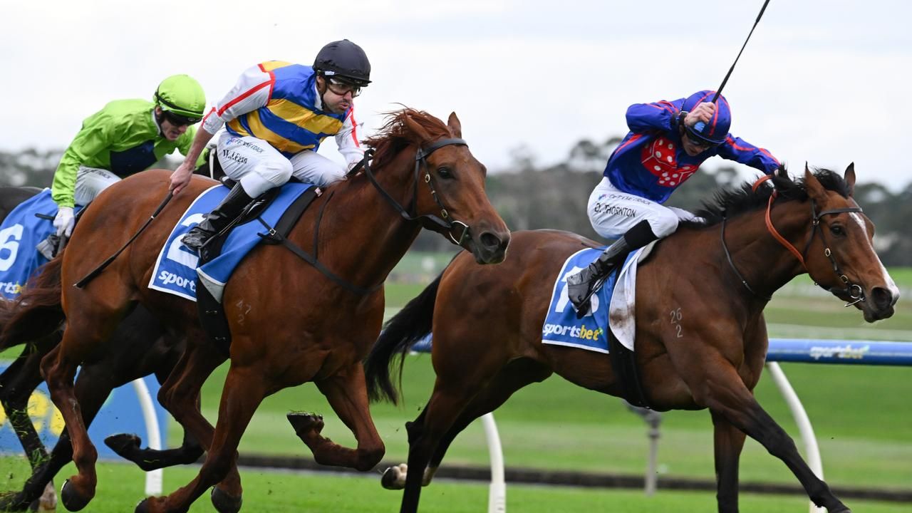 Clevor Trever seals hat-trick in Sandown photo finish - Racenet