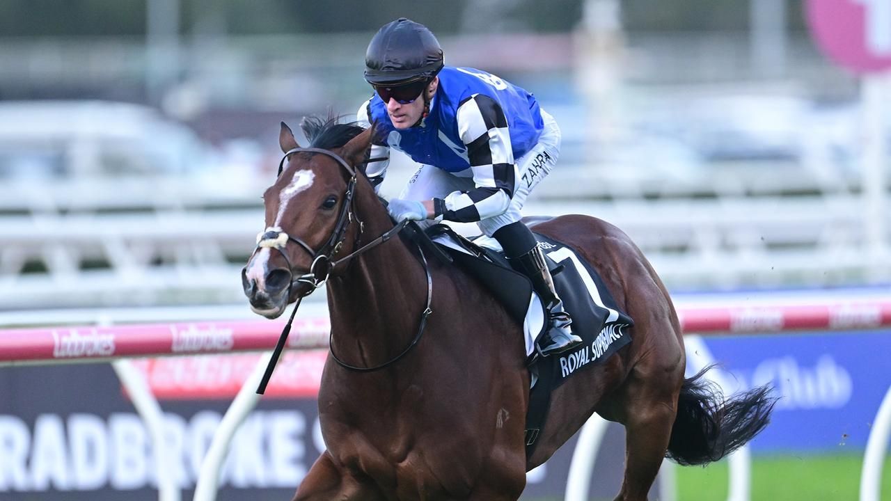 Royal Supremacy channels Pride Of Jenni in Q22 rout - Racenet