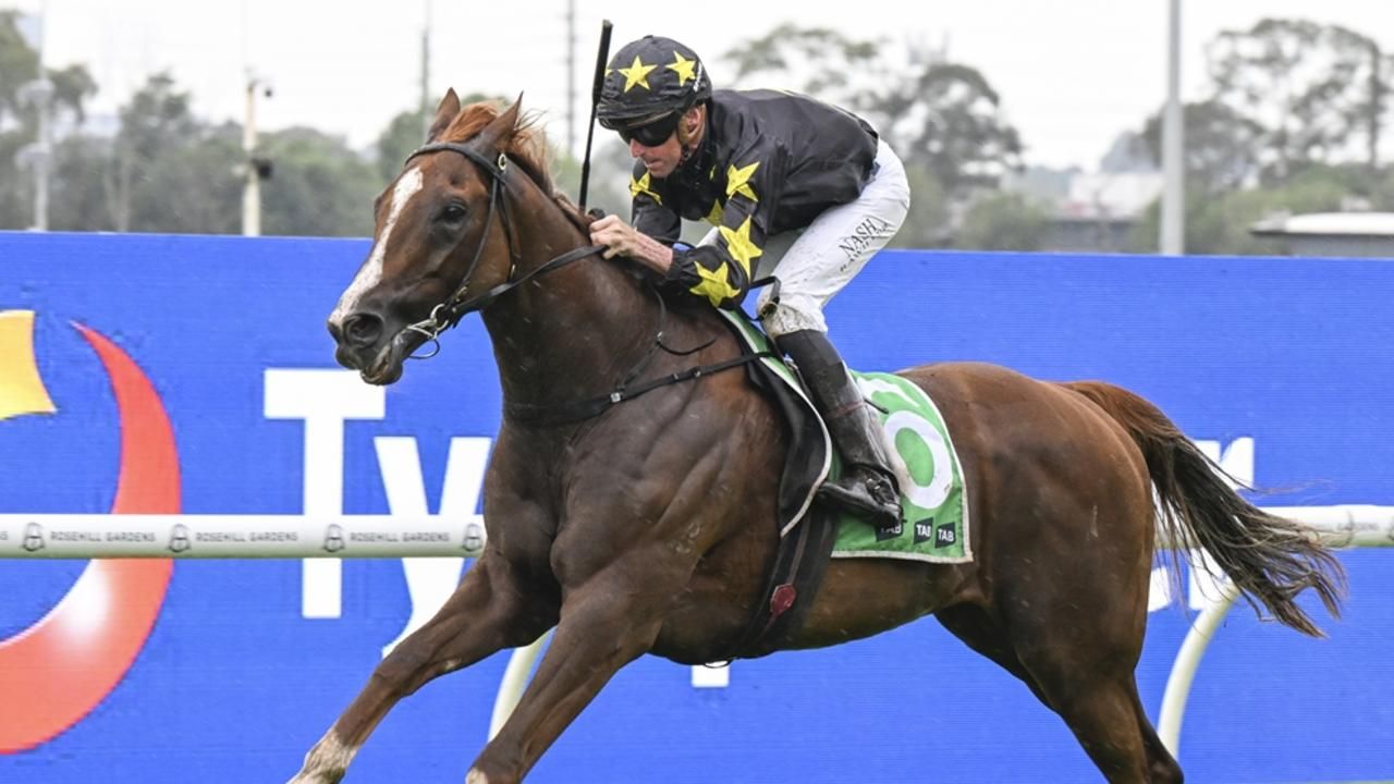 One-time Cox Plate hopeful Belvedere Boys favourite for Ipswich Cup