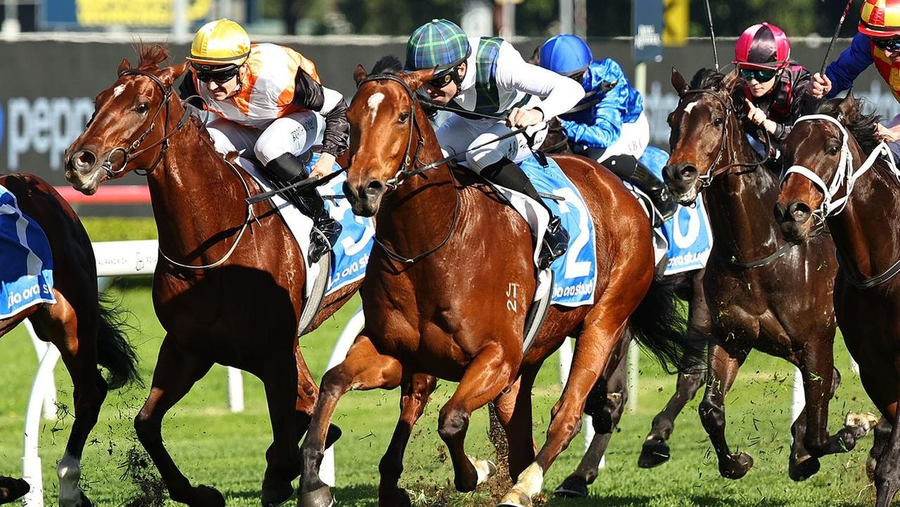 Roughie Cheeky Smirk leaves connections smiling at Randwick - Racenet