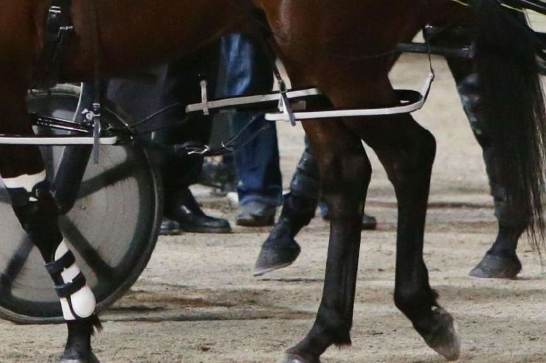 Seven charged in NZ harness race-fixing probe