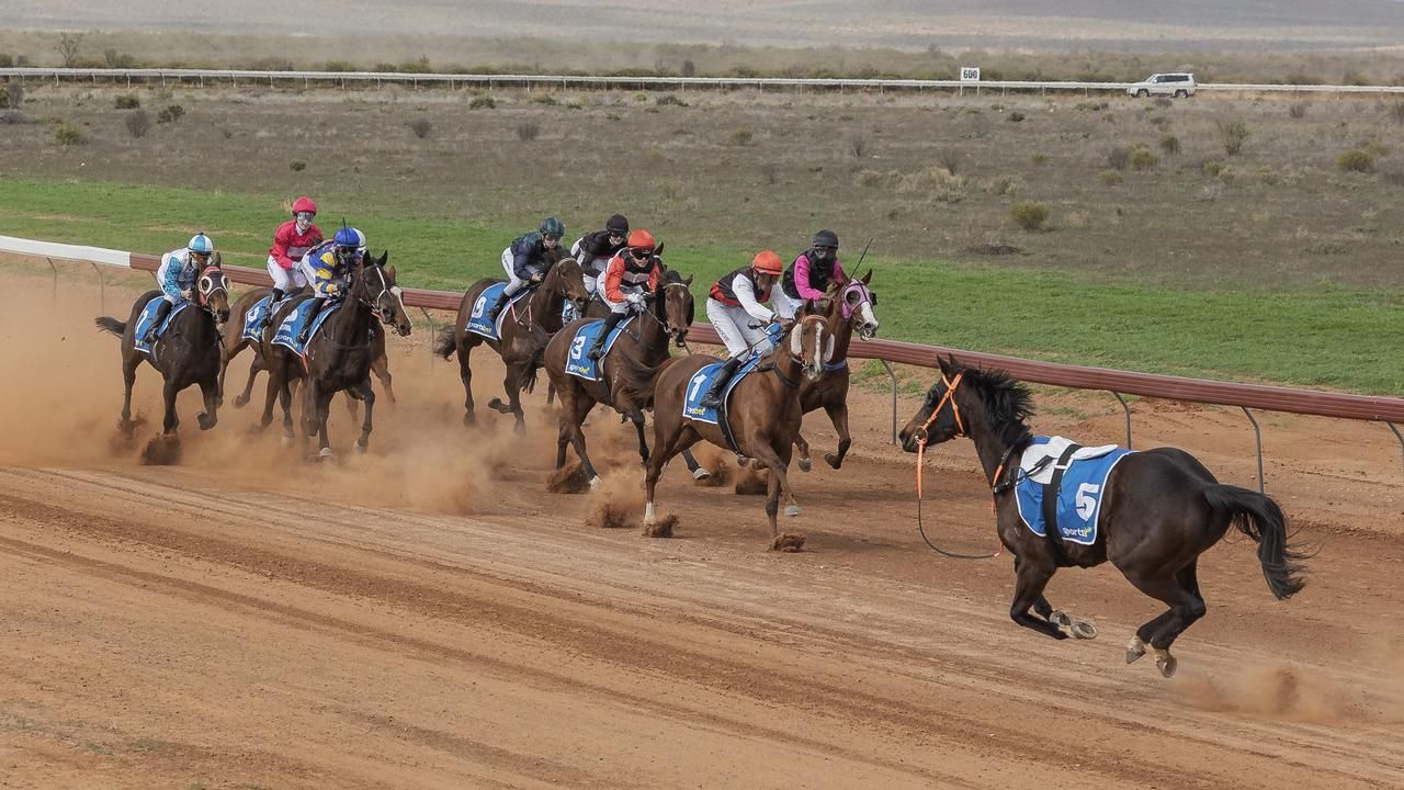 No-race declared after horse causes havoc on Quorn Cup Day