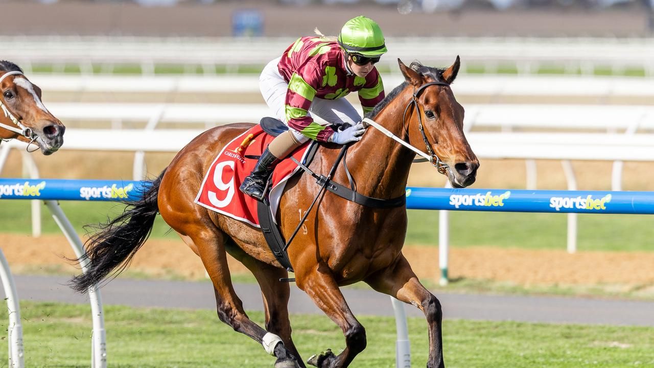 Cartoon Graveyard wins 2025 Murray Bridge Gold Cup win