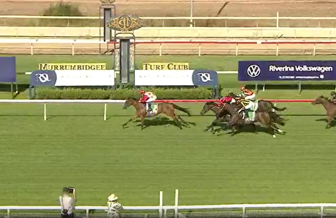 Wagga Town Plate day tips (April 30, 2026)