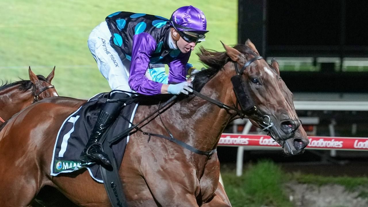 Adopted local Madden eyes Warrnambool Cup with $71 outsider