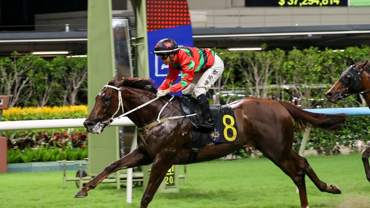 Half-brother to Aus G1 winner goes 3/3 in Hong Kong