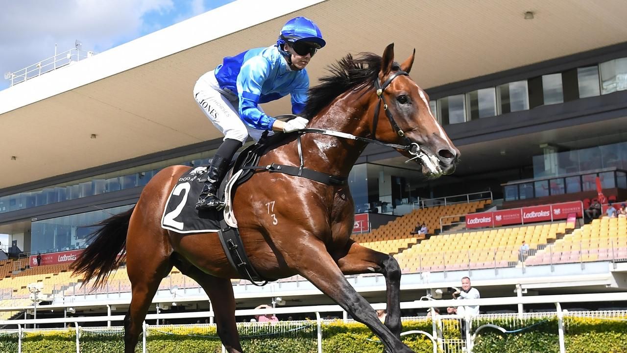 Freedman backs colt to land first Group 1 from Queensland base