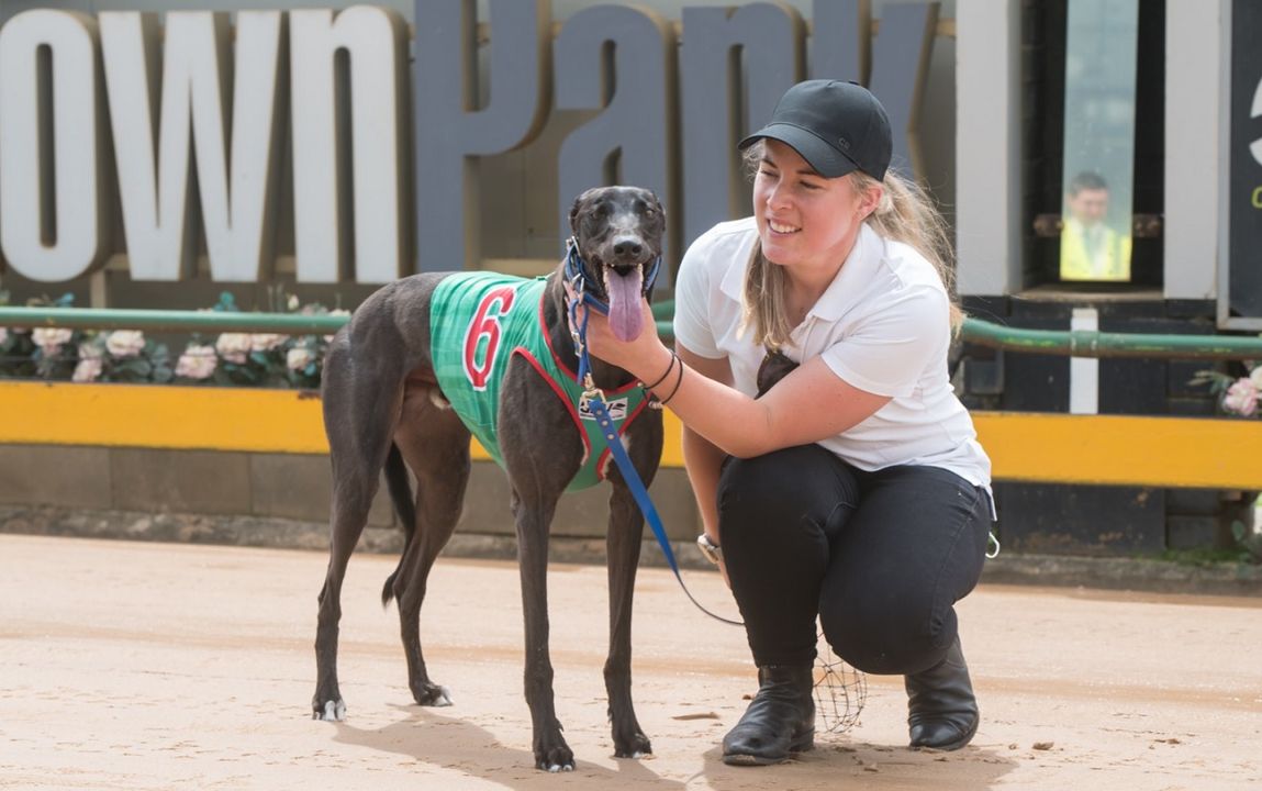 Top Five: Relive Amron Boy's Racetrack Heroics - Greyhound Recorder