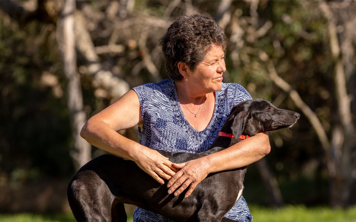 Britton Fears For Industry After Cannington Drama - Greyhound Recorder