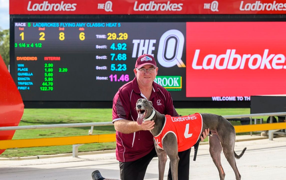 Giant Killer Blue Blend Set For Origin Defence - Greyhound Recorder