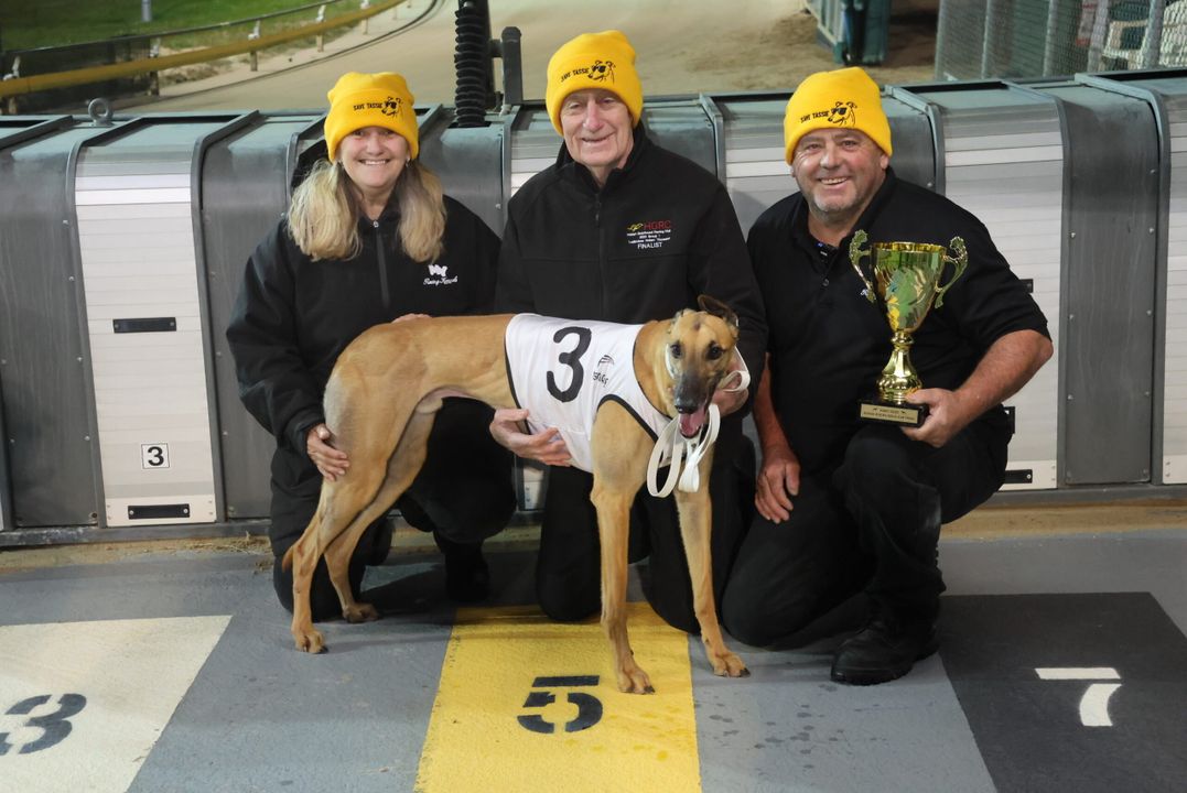 Stringer Celebrates First Tasmanian GOTY Title - Greyhound Recorder