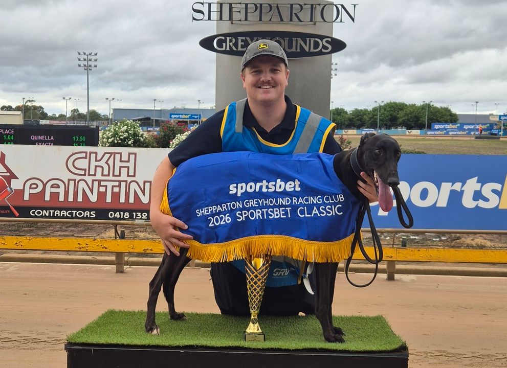 Caly Jet's Classic Streak Continues At Shepparton - Greyhound Recorder