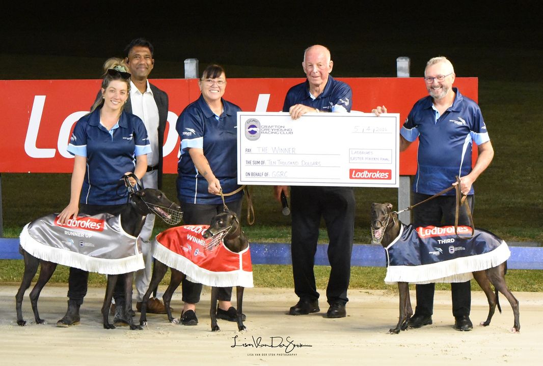 Grafton Easter Maiden Win 40 Years In Making - Greyhound Recorder