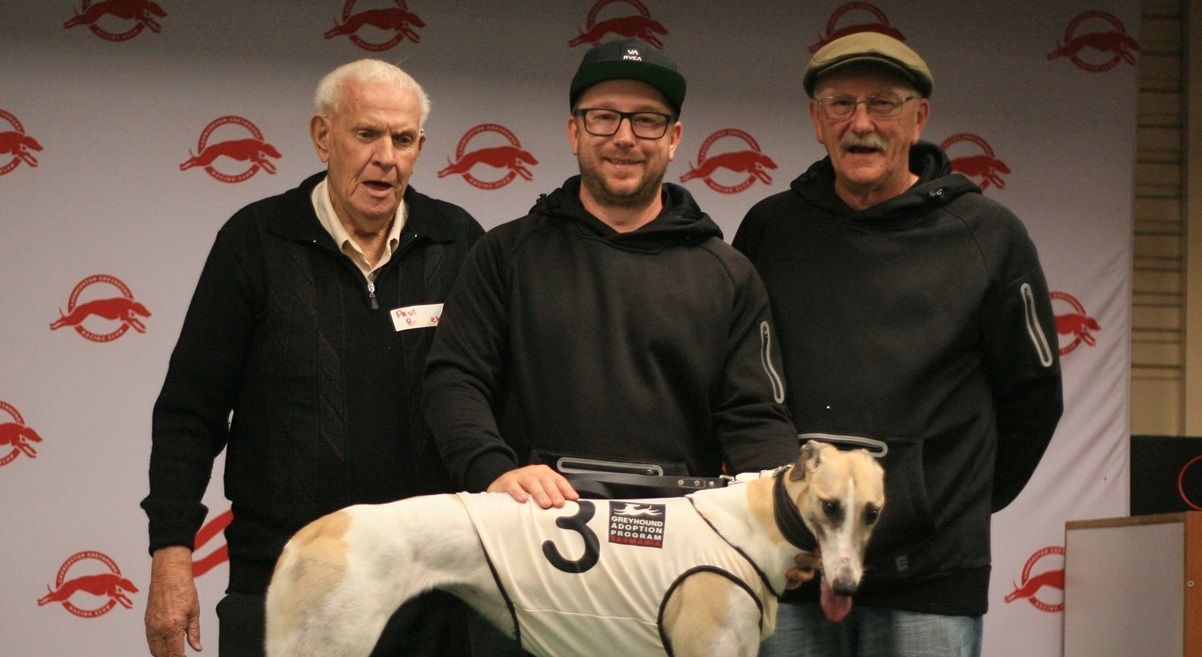 Biggest Mistake Was Trusting Rockliff: Englund - Greyhound Recorder