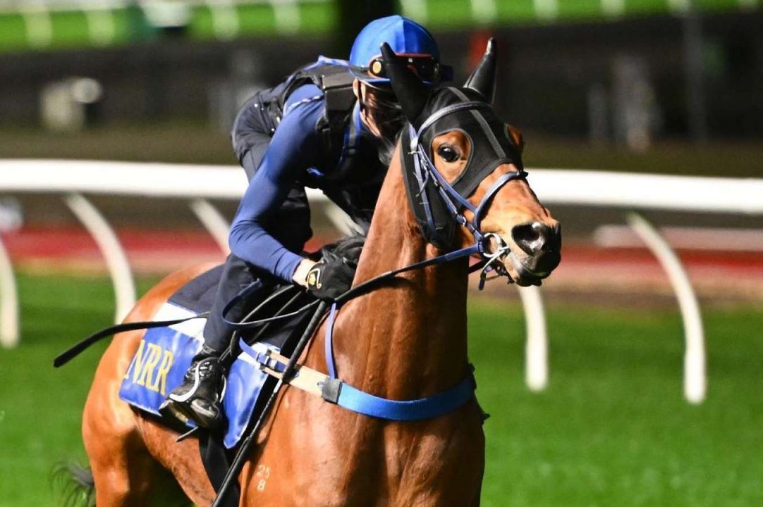Import goes from Belfast to The Valley - Odds