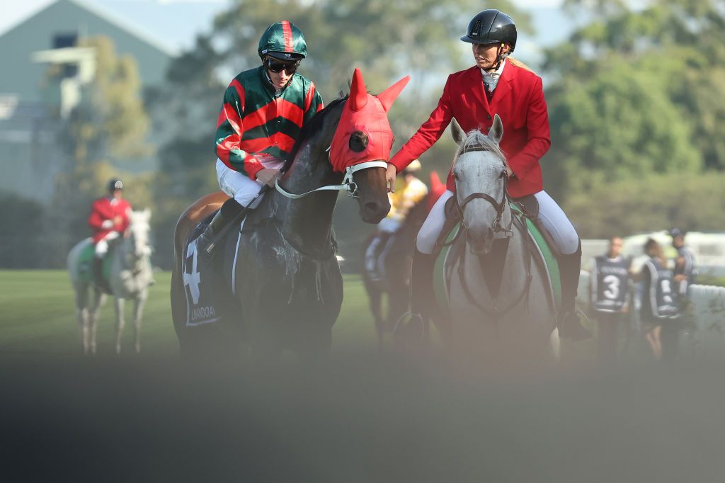 2026 Coolmore Classic Field - Odds