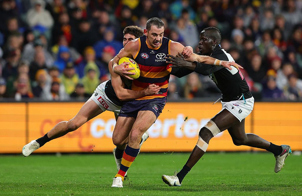 Adelaide vs Port Adelaide Prediction & Odds - AFL Round 8 2026 - Odds